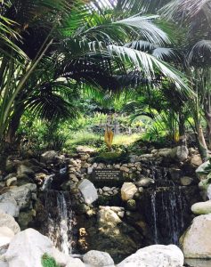 Visit the Best Botanical Gardens in Los Angeles – Resist the Mundane